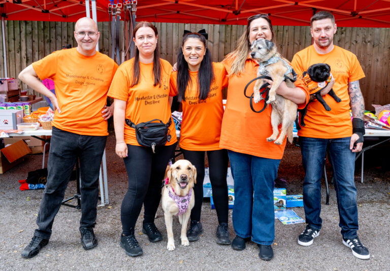 About - Manchester & Cheshire Dogs Home